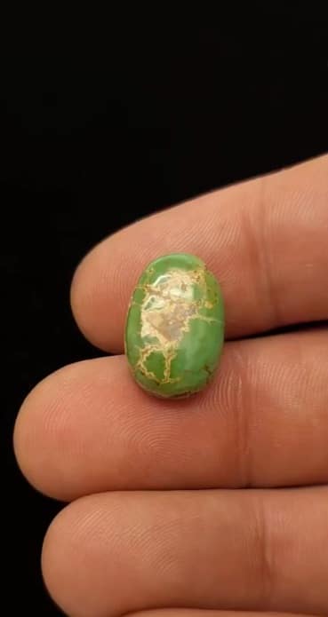 Turquoise Deluxe | Grasshopper Turquoise Cabochon Natural Lander County ...